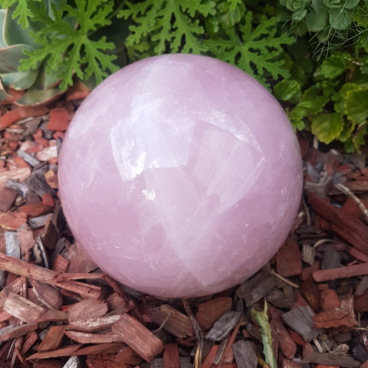 Rose Quartz – Nature's Magick