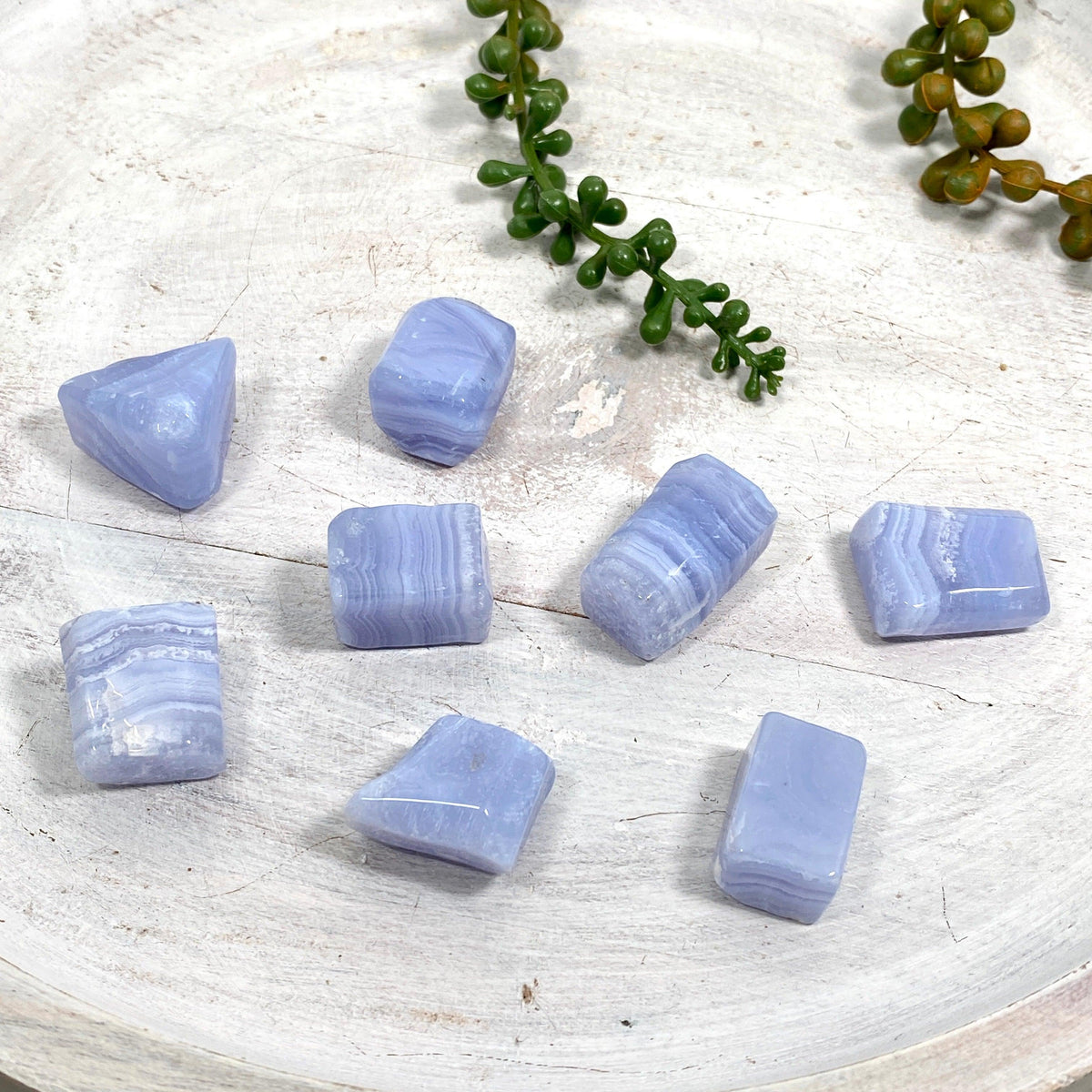 Blue Lace Agate Mini Freeforms BLAF – Nature's Magick