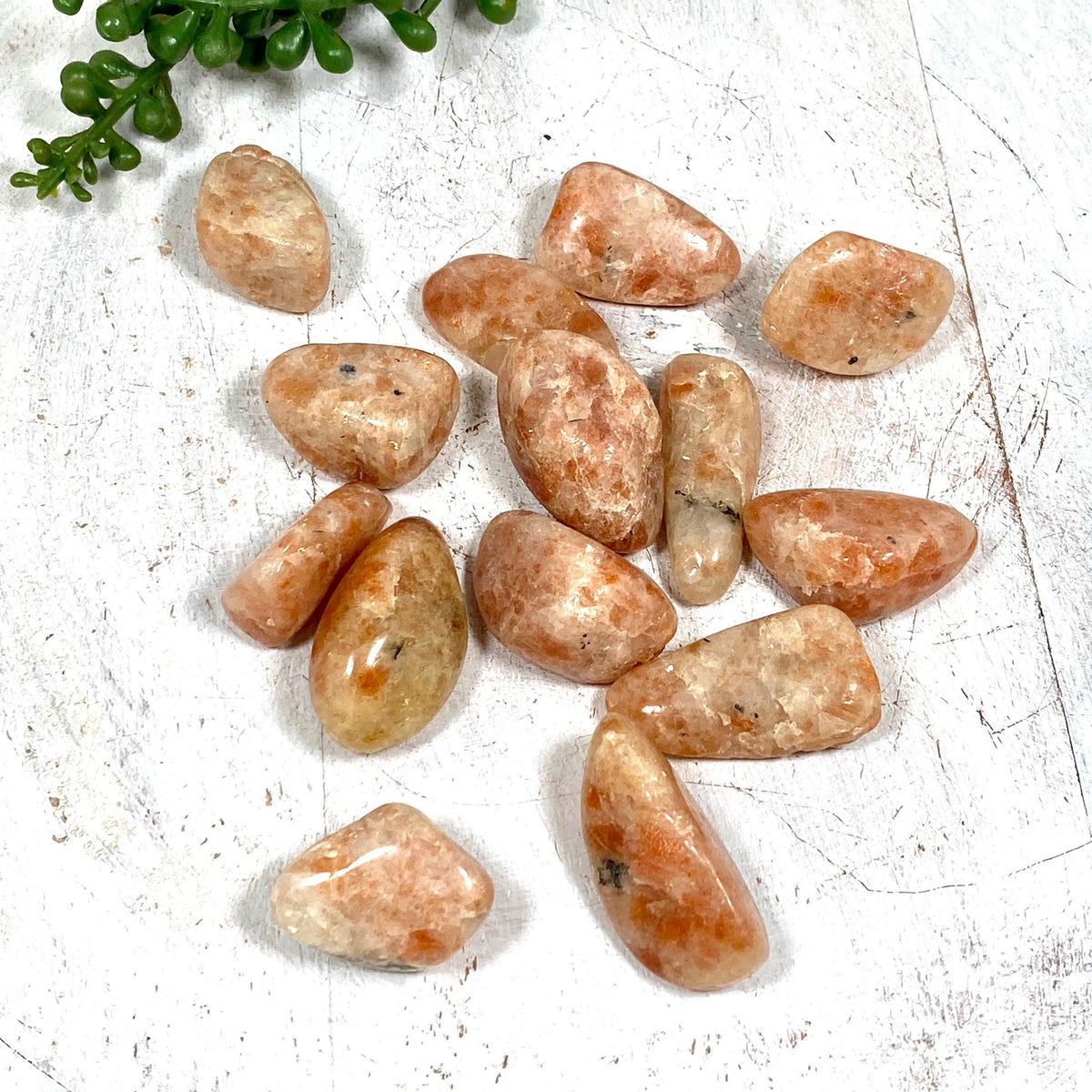 Tumbled Stone - Sunstone TS-SUN – Nature's Magick